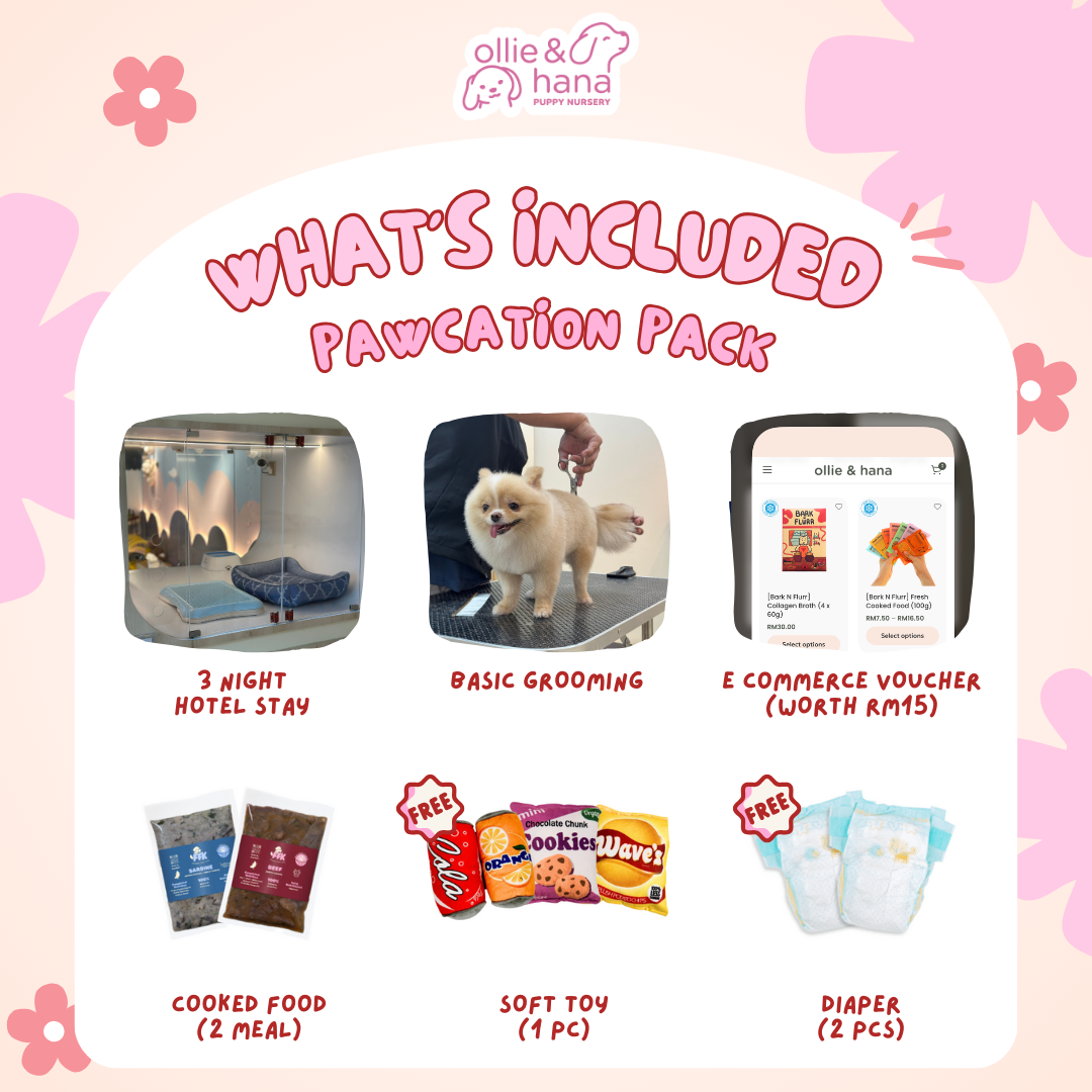 Hotel & Daycare Archives - Ollie & Hana